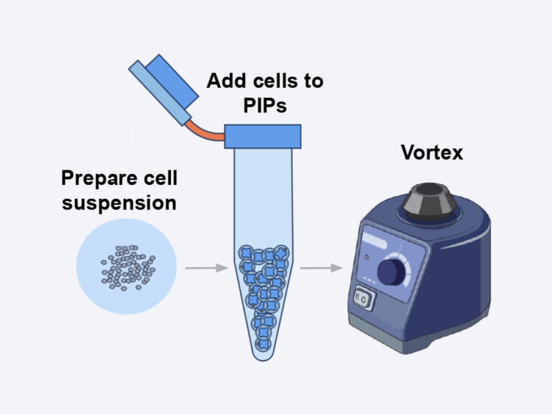 Single-Cell Insights: Explore Fluent BioSciences PIPseq™ Technology