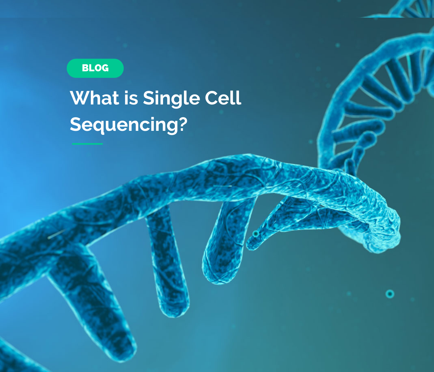 What is Single Cell Sequencing? Your Guide to scRNA-seq