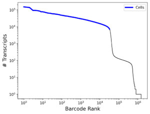 PIPseq v4: Large Cell Mixtures & scRNA-Seq for Barnyard Cycles
