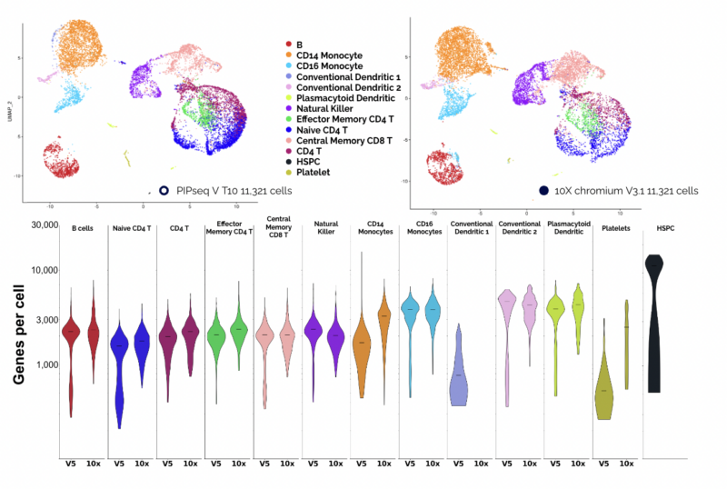 Single Cell Analysis, RNA Sequencing (scRNA-Seq) | Fluent BioSciences